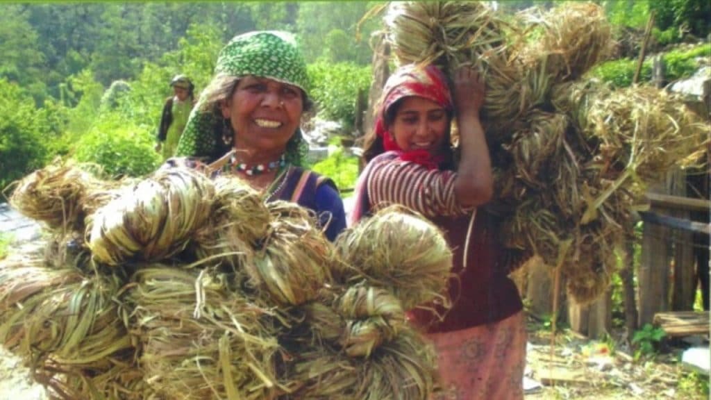 NATURAL PLANT FIBERS – Mount Everest Forest Botanical Alliance